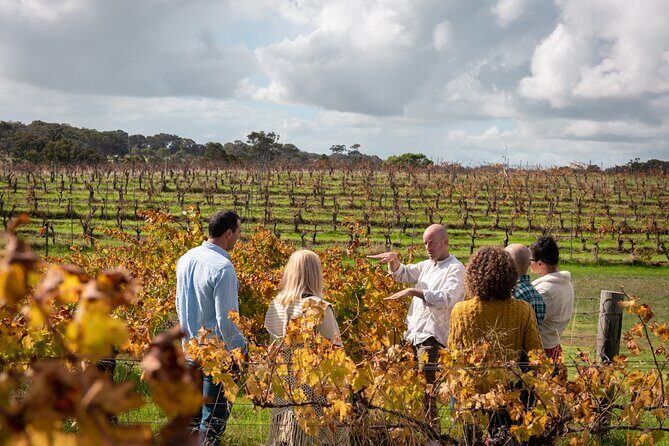Hidden Gems: Full-Day Wine, Scones, Lunch and Local Produce Tour - Who Will Appreciate This Tour?