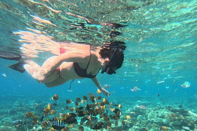 Hidden Gilis: Private Snorkeling Adventure to 5 Secret Islands - What the Tour Includes — and What It Doesn’t