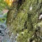 Hidden Grotto Waterfall eMTB & Hiking Adventure Malibu (Beginner) - The Return and Reflection