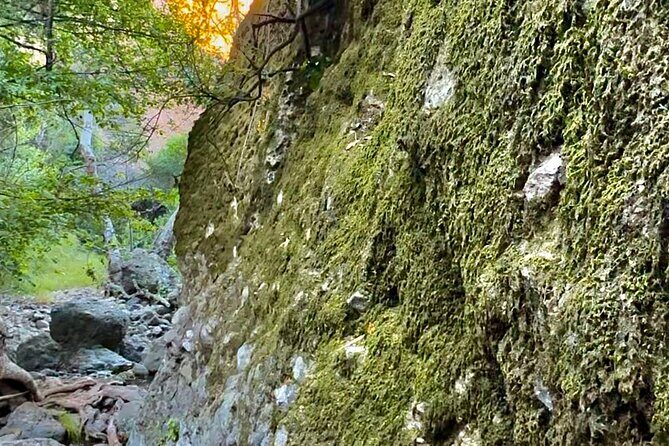 Hidden Grotto Waterfall eMTB & Hiking Adventure Malibu (Beginner) - The Return and Reflection