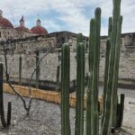 Hierve el Agua Guided Full Day Tour in Oaxaca - Practical Aspects and What to Expect