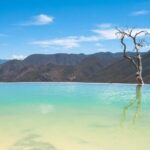 Hierve el Agua, Tule Tree, Mitla and Mezcal Distillery Tour - The Value of This Tour