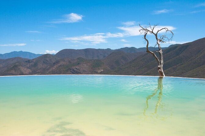 Hierve el Agua, Tule Tree, Mitla and Mezcal Distillery Tour - The Value of This Tour