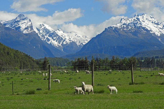 High Country Discovery Tour from Queenstown - Exploring the Film Magic of Middle-earth