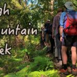 High Mountain Day Trek - What the Reviews Tell Us