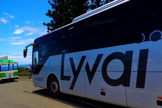 Highlight City Tour in New Caledonia - Why This Tour Works for Travelers