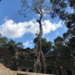 Highlights of Angkor Wat, Ta Prohm & Angkor Thom - Practical Details: What’s Included and What’s Not