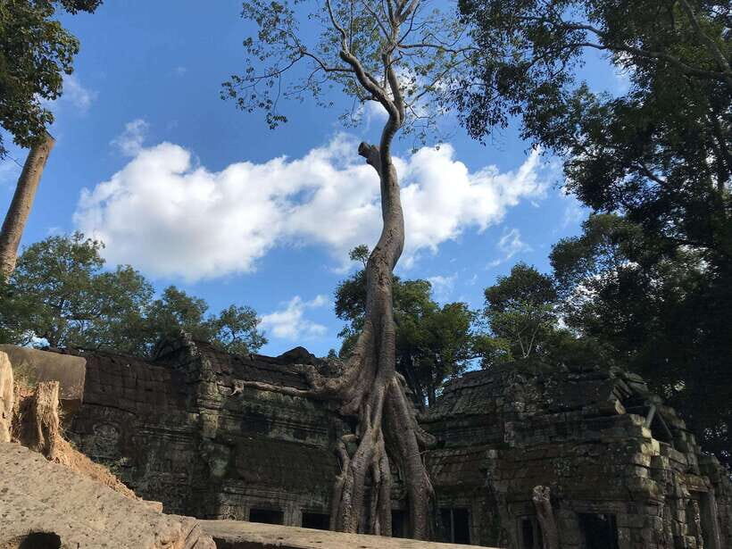 Highlights of Angkor Wat, Ta Prohm & Angkor Thom - Practical Details: What’s Included and What’s Not
