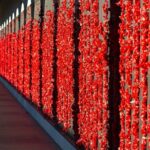 Highlights of Canberra Full Day Tour - Authentic Experiences and Traveler Feedback