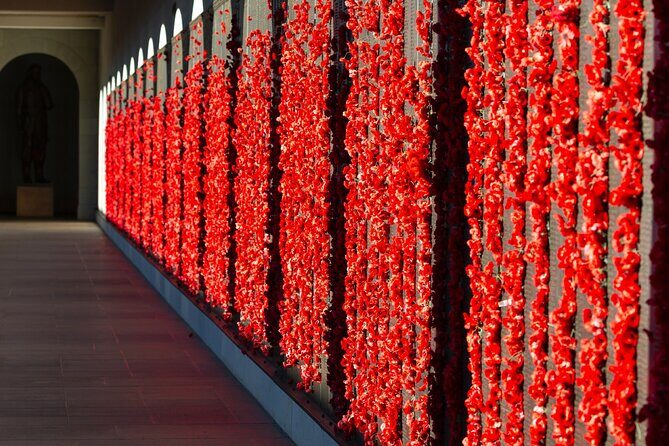 Highlights of Canberra Full Day Tour - Authentic Experiences and Traveler Feedback