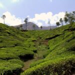 Highlights of Kerala - Final Thoughts: Is This Tour for You?