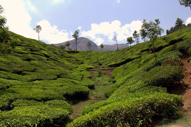 Highlights of Kerala - Final Thoughts: Is This Tour for You?