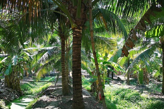 Highlights of Ratchaburi & Samut Songkhram provinces - Final Thoughts: Is This Tour Right for You?