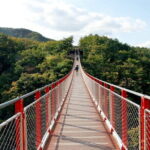 Highlights of South Korea Shared Guided Tour - What Could Be Better?
