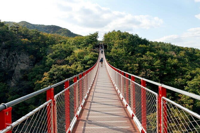 Highlights of South Korea Shared Guided Tour - What Could Be Better?
