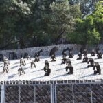 Highlights of the Chandigarh (Guided Half Day City Tour) - What the Tour Includes and What to Consider