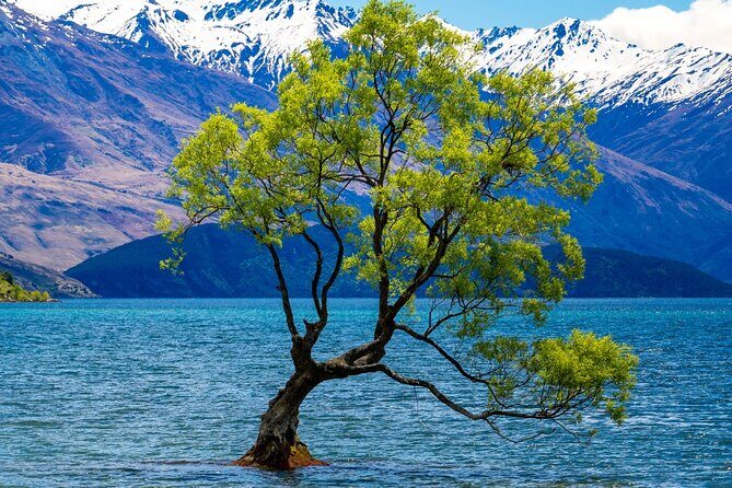 Highlights of Wanaka Scenic Shuttle Tour from Queenstown - The Sum Up