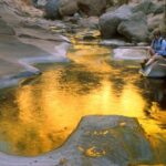 Hike the native Pericu road in Sierra de la Laguna. - Why This Tour is Special