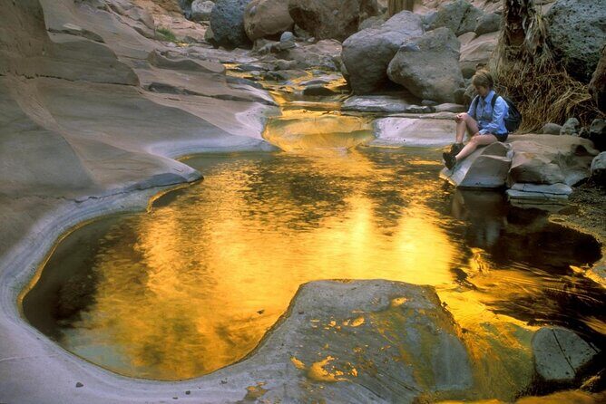 Hike the native Pericu road in Sierra de la Laguna. - Why This Tour is Special