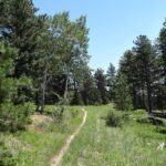 Hike the Rockies Half Day Tour - Who Will Love This Tour?