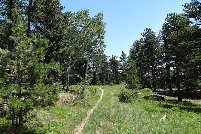 Hike the Rockies Half Day Tour - Who Will Love This Tour?