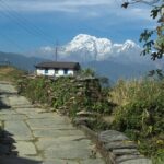 Hiking Adventure from Hemjakot to Dhampus - An In-Depth Look at the Hemjakot to Dhampus Hike