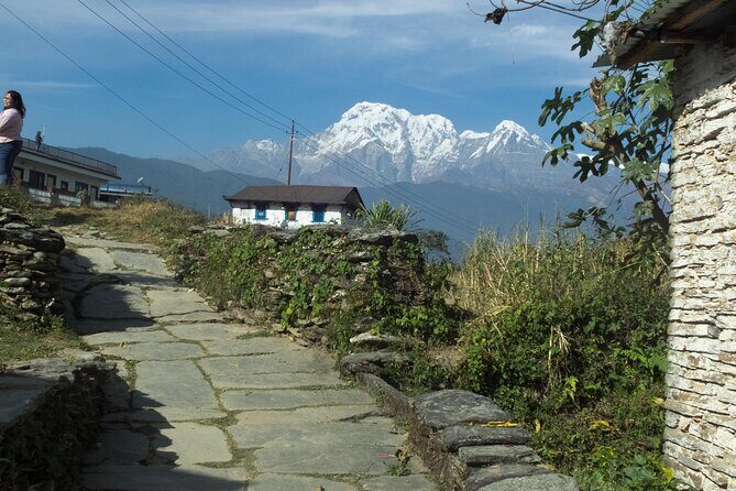 Hiking Adventure from Hemjakot to Dhampus - An In-Depth Look at the Hemjakot to Dhampus Hike