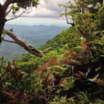 Hiking Adventure including Fiji's Highest Mountain and 3 Nights - Transport and Logistics