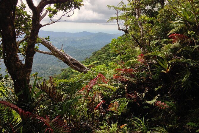 Hiking Adventure including Fiji's Highest Mountain and 3 Nights - Transport and Logistics
