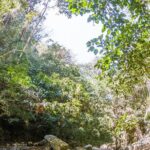 Hiking Adventure: River Trails & Waterfall Wonders - Exploring the Itinerary