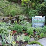 Hiking and Adventure from Napanee to Bon Echo Provincial Park - The Value Proposition