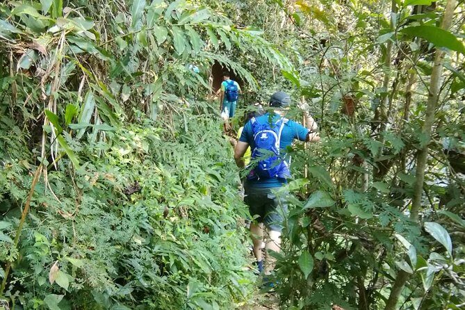 Hiking and Zipline Private Tour from Chiang with Karen Village - Who Will Love This Tour?