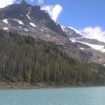 Hiking the Columbia Icefields Region with Your Private Guide - The Practicalities