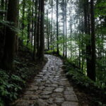 Hiking the Historic Nakasendo Trail- 1 Day Tour from Nagoya - The Itinerary in Detail