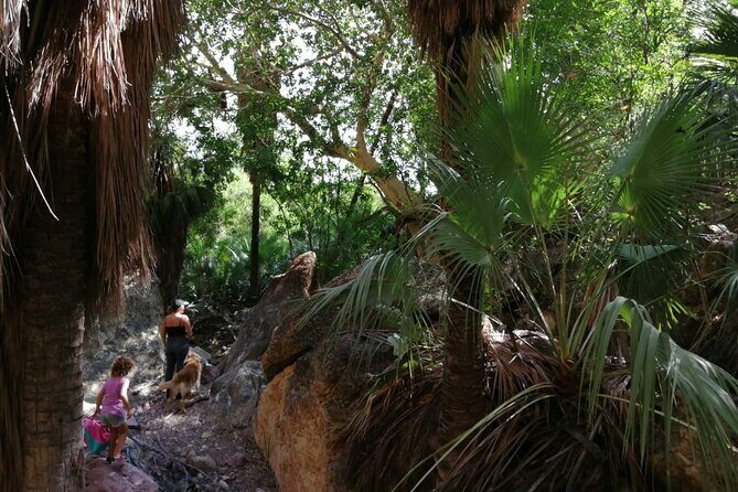 Hiking to Desert Palm Oases of San Carlos with a Biologist - An In-Depth Look at the Itinerary