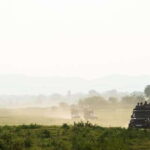 Hikkaduwa/Galle/Weligama/Mirissa: Yala National Park Safari - Overview of the Experience