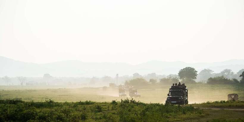 Hikkaduwa/Galle/Weligama/Mirissa: Yala National Park Safari - Overview of the Experience