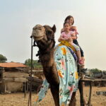 Hill-station & Heritage: Lonavala & Karla Caves Tour from Mumbai - Practical Details and What It Means for You