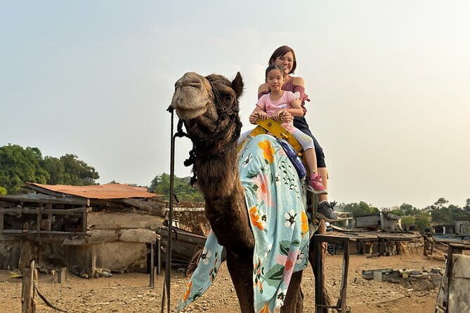 Hill-station & Heritage: Lonavala & Karla Caves Tour from Mumbai - Practical Details and What It Means for You