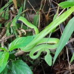 Hill Tribe Experience at Home Stay & Hiking 3 Days Tour - What’s Included and What’s Not
