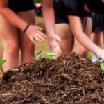 Hilo: Big Island Family Farm & Culture UTV Experience - Who Is This Tour Best For?