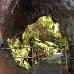 Hilo: Hawaii Volcanoes National Park and Hilo Highlights - Why This Tour Offers Great Value