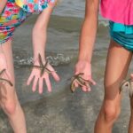 Hilton Head Dolphin Tour with Stop at Disappearing Island - Authentic Experiences from Travelers