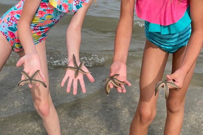 Hilton Head Dolphin Tour with Stop at Disappearing Island - Authentic Experiences from Travelers