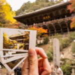 Himeji: Guided 4-hour Shoshazan Engyo-ji Photography Tour - What’s Included and What to Budget For