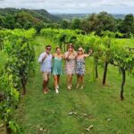 Hinterland Cheese & Wine Tasting Tour - with 2 course lunch included - The Sum Up: Who’s This Tour Best For?