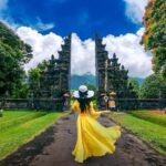 Hire Bali Driver for 10-hour (Bali as You Please) - The Itinerary Breakdown: What You Might See and Do