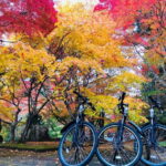 Hiroshima Country Cycling: Explore Rural Life 1 HR from City - Value and Cost Analysis