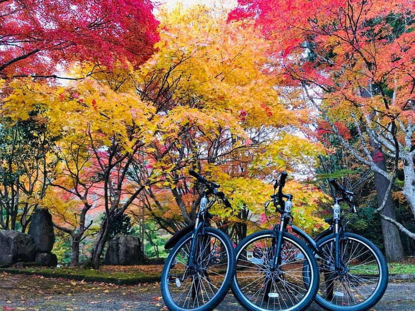 Hiroshima Country Cycling: Explore Rural Life 1 HR from City - Value and Cost Analysis