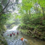 Hiroshima Like a Local: Customized Private Tour - The Value of a Private, Personalized Tour